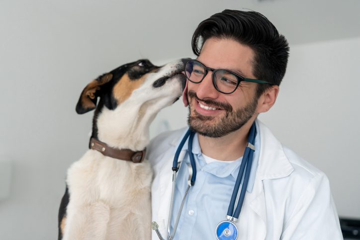 Benefits of Pet Wellness Plans for Pet Owners | Bowman Animal Hospital ...